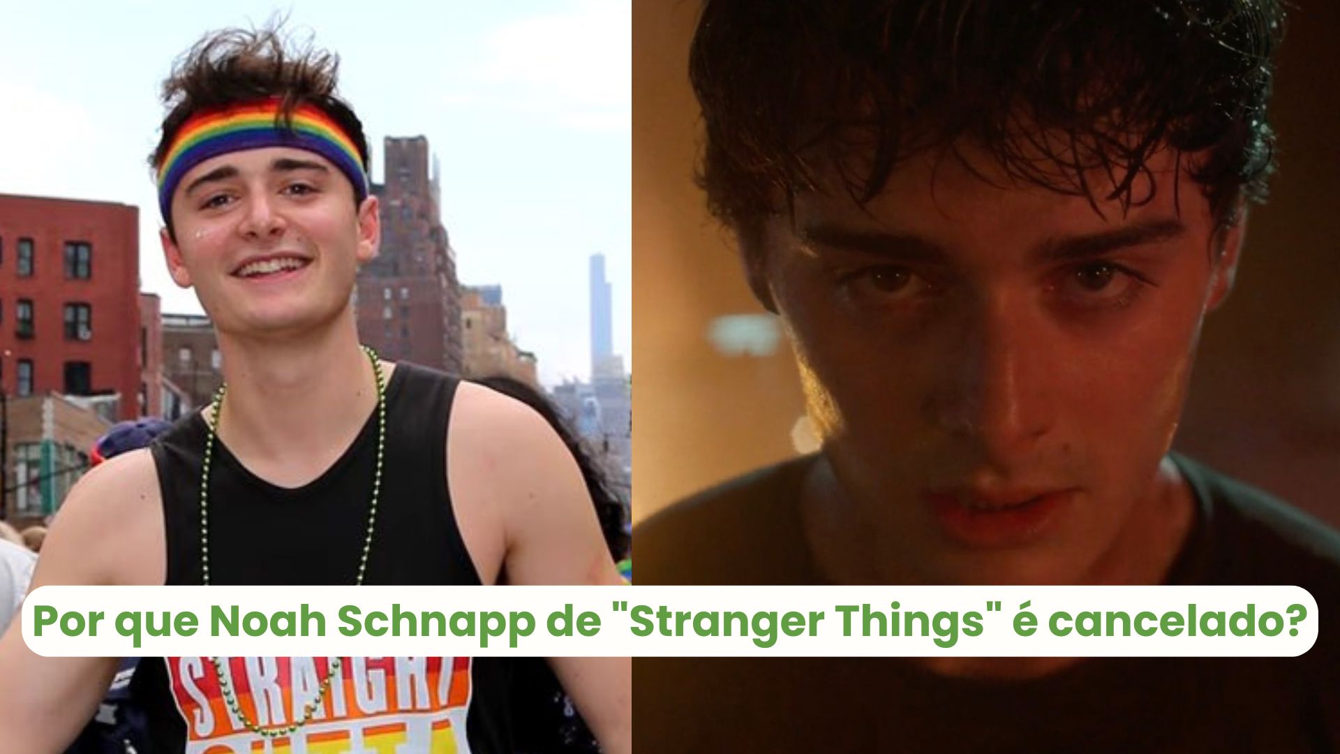 Por que Noah Schnapp de "Stranger Things" é cancelado? - Amargurado